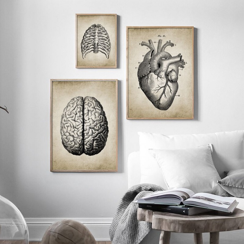 Mózg palec czaszka anatomia człowieka plakat Vintage obraz ścienny na ...