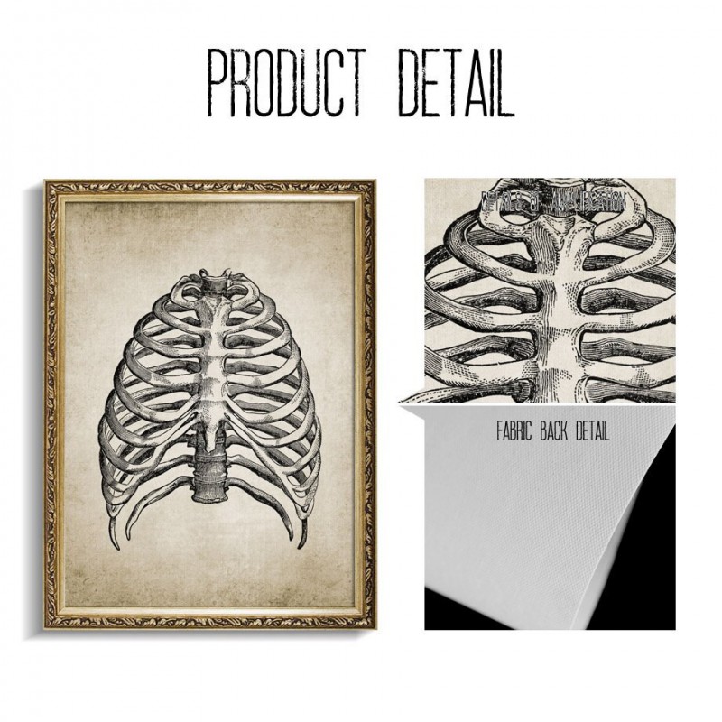 Mózg palec czaszka anatomia człowieka plakat Vintage obraz ścienny na ...